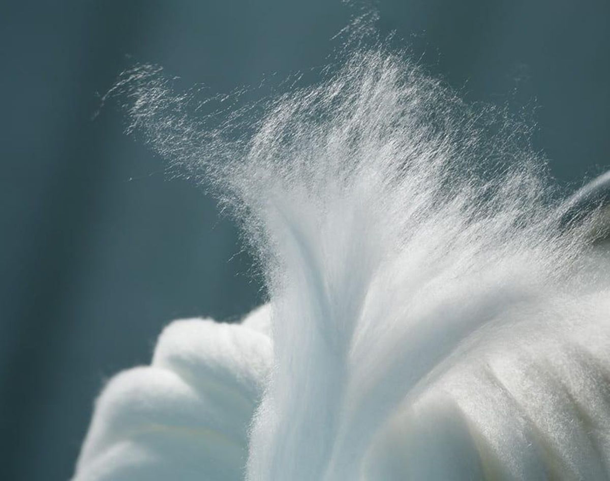 Fabric Guide : What You Need To Know About Lyocell Fiber – OROMEN
